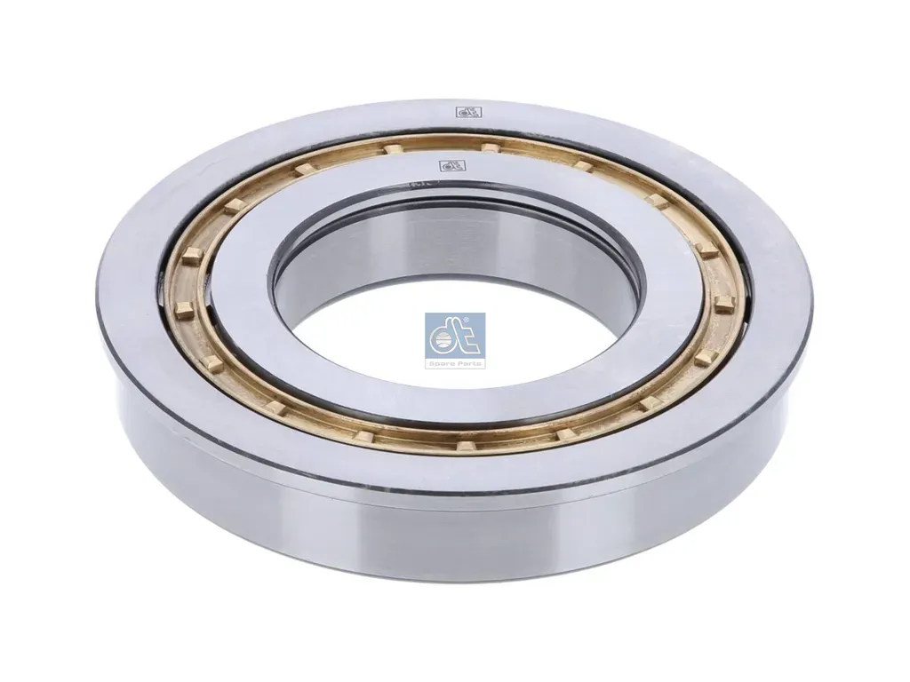 DIESEL TECHNIC | 5.50098 Cylinder roller bearing